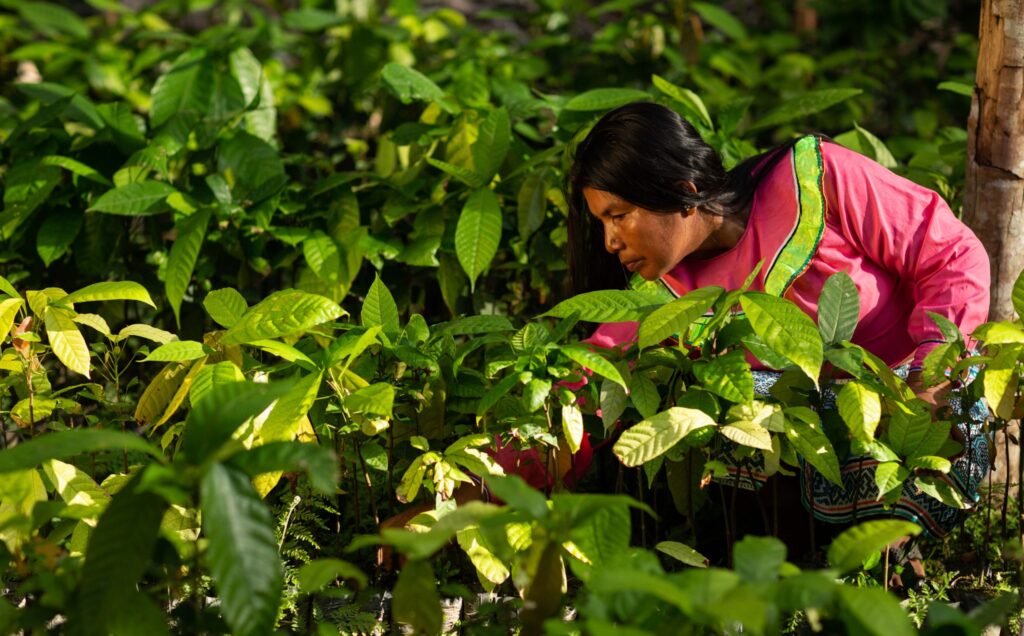 FTA Coffee - Tasman Environmental Markets