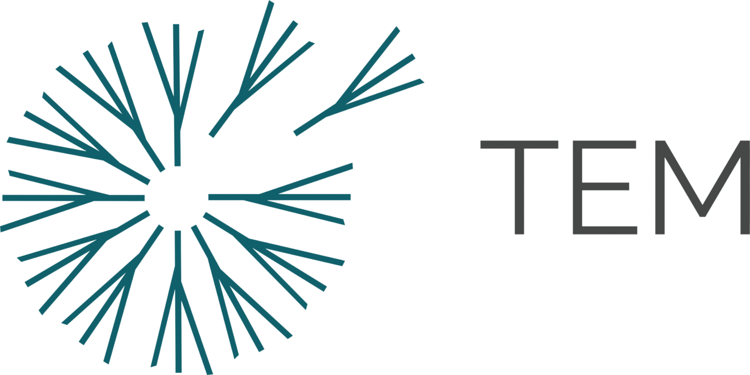 About TEM - Tasman Environmental Markets (TEM)