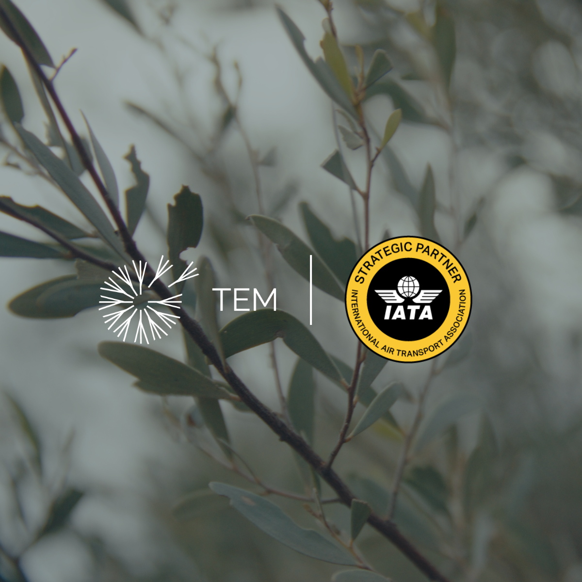 TEM becomes a member of IATA's Strategic Partnerships Program - Tasman ...